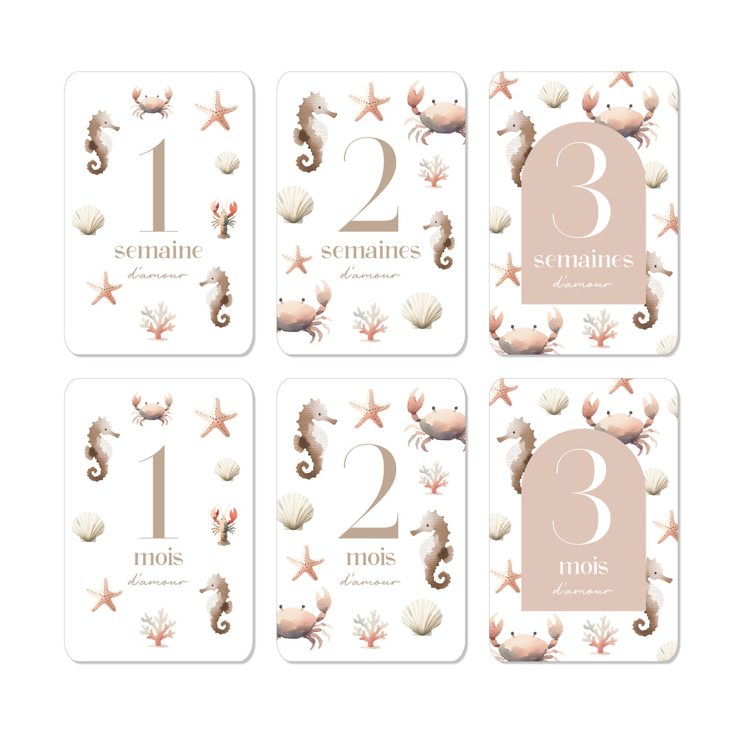 Cartes étapes – Seven Paper